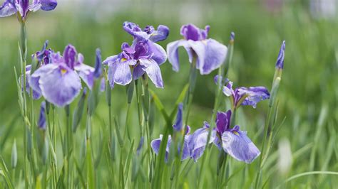 View Transitions Api With Vuejs Ics