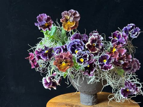 Meet Sarah Hammel Founder Of In The Den Shoutout La