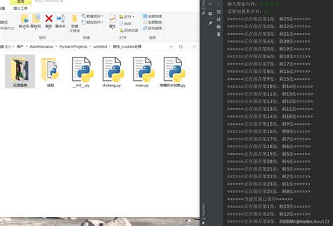 python爬虫堆糖图片 异步加载 堆糖网站的异步加载文件怎么找 csdn博客