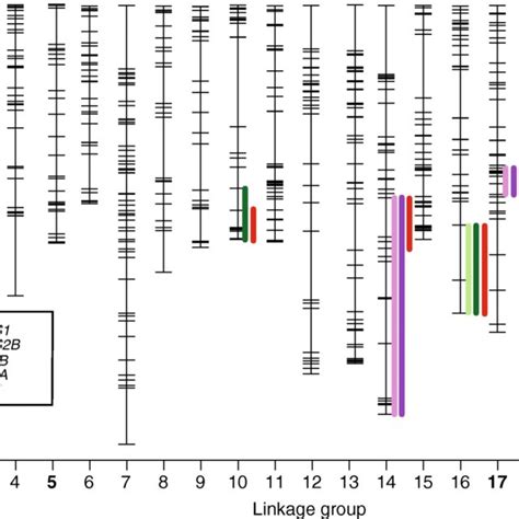 Genome Wide Distribution Of Cone Opsin Qtl Quantitative Trait Loci