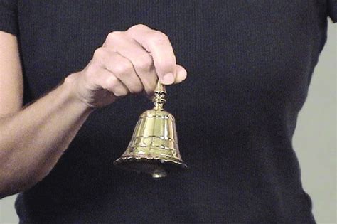 Example Stimulus The Picture Depicts A Transitive Action Used As Download Scientific Diagram