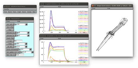 github openworm c302 the c302 framework for generating multiscale