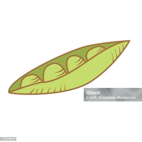 Line Art Vector Illustrationcartoon Green Peapod Of Green Peas Open Pea Pod Vegetable ...