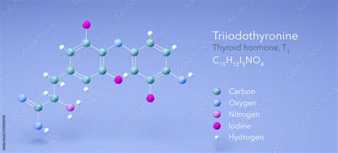 Triiodothyronine Molecule Molecular Structures Thyroid Hormone 3d Model Structural Chemical