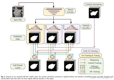 【论文阅读】mutual Consistency Learning For Semi Supervised Medical Image