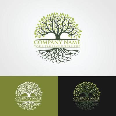 Tree Roots Vector Art Icons And Graphics For Free Download