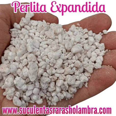 Perlita Expandida 5 Litros Suculentas Raras