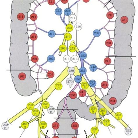 A Right Hemicolectomy With D3 Lymphadenectomy B Sigmoidectomy With Download Scientific