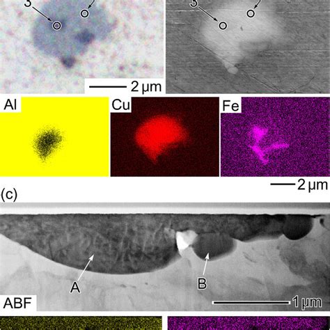 A B Om Images Sem Images And Corresponding Eds Maps Of Typical