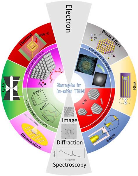 Illustration Of The In Situ Tem Concept Download Scientific Diagram