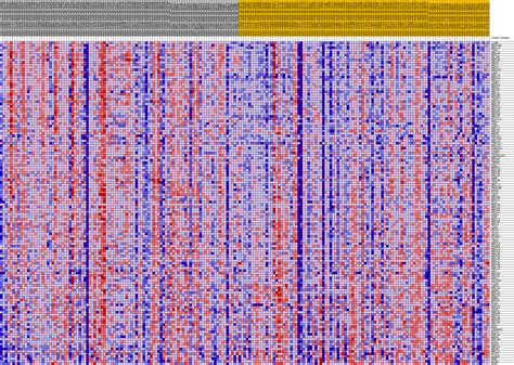 Details For Gene Set Gobpmitochondrialtranslation Gsea