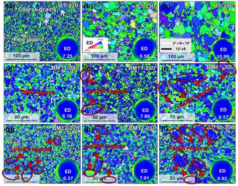 EBSD Inverse Pole Figure IPF Maps And Pole Figure PF Maps Of Download Scientific