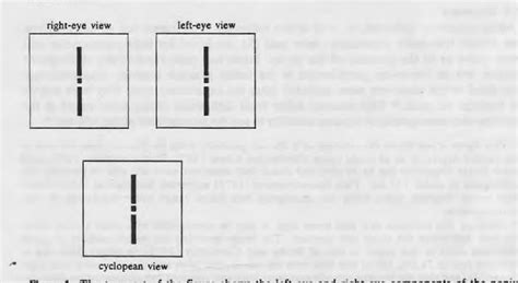 Figure 1 From Learning To See Random Dot Stereograms Semantic Scholar