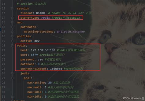 redis实现，分布式session共享 csdn博客