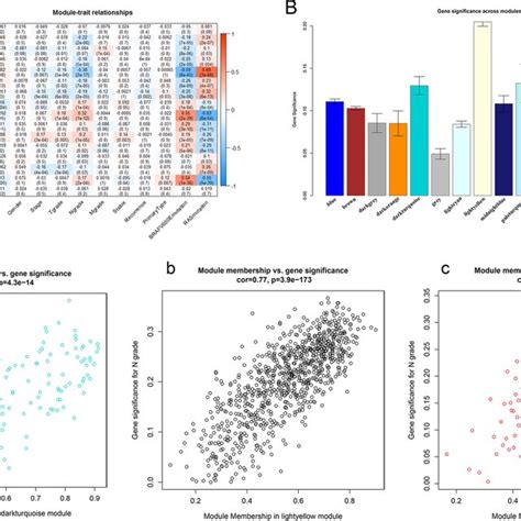 Moduletrait Correlations Analyses A Relationships Between Mes And