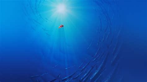 Finding Nemo Wallpapers 25 Images Wallpapercosmos