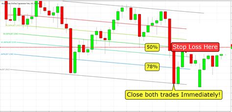The Complete Guide To Fibonacci Trading Trading Strategy Guides
