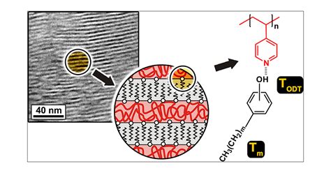Interaction Strength In Poly4 Vinylpyridinen Alkylphenol Supramolecular Comb Shaped