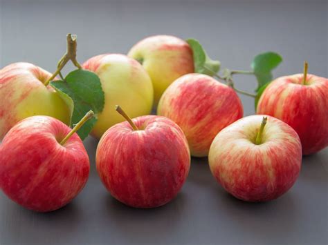 Пестицидийн хортой нөлөөллийг хэрхэн багасгах вэ “ЦАХИУР ТӨМӨР” ХХК