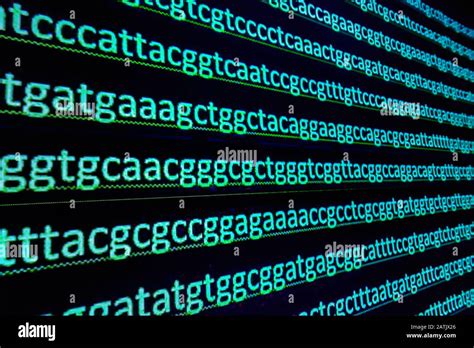 Nucleotide Sequence Hi Res Stock Photography And Images Alamy
