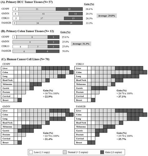 Screening Of Gene Amplification In Primary Tumor Tissues And A Panel Of