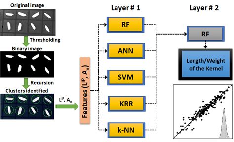 Process Flow To Predict The Size And Weight Of The Rice Kernels The