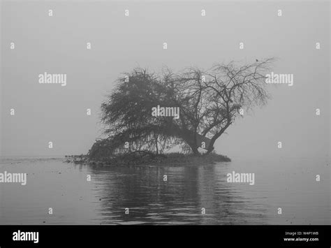 Grey Fog Black And White Stock Photos Images Alamy