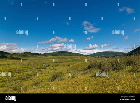 Green Grass Different Size Hills Blue Sky Far Away Mountains Stock