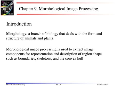 ppt morphological image processing principles and techniques