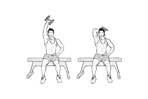 One Arm Overhead Dumbbell Tricep Extensions My Free Fitness Guide