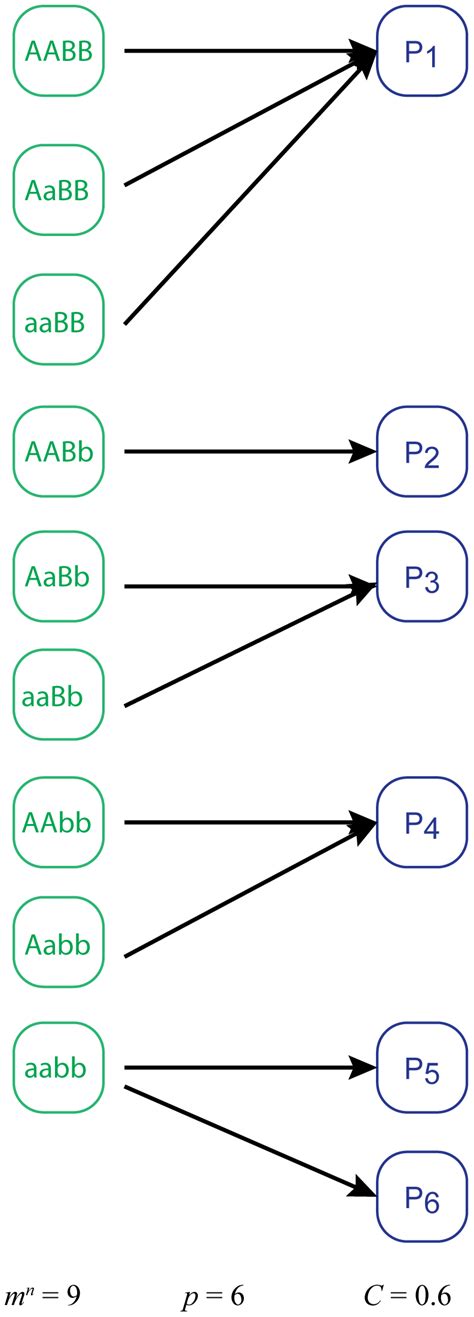 An Example Genotype To Phenotype Map And The Calculation Of Its Genetic