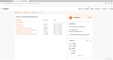 在 vmware 虚拟机上安装 centos系统 完整（全图文）教程 vm安装centos csdn博客