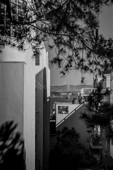 Vertical Shot Of Modern Buildings In Black And White In San Francisco California Usa Stock