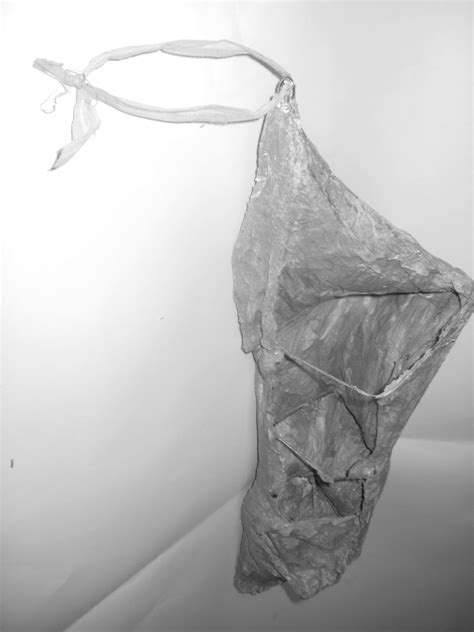 Shell Skeleton Structures Lucychristine Ceramics Craft