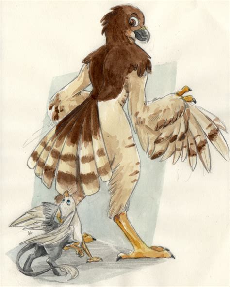 The Big Imageboard Tbib Accipiter Accipitrid Accipitriform Anthro