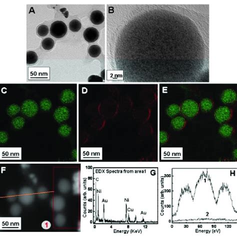 A Tem Image Of Nicoreaushell Nanoparticles B Hrtem Of A Single