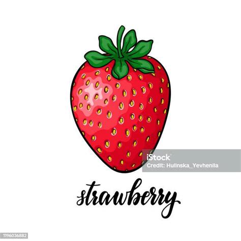 문자 문자 문자 딸기와 아름 다운 만화 빨간 딸기입니다 여름의 상징 휴일 인사말 카드 및 계절 여름 휴가 해변 파티 관광 및 여행의 초대를위한 디자인 0명에 대한 스톡 벡터