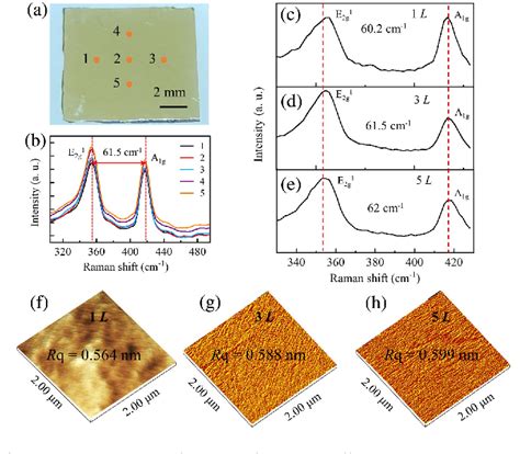 Figure 1 From Layer Dependent Photoexcited Carrier Dynamics Of Ws2