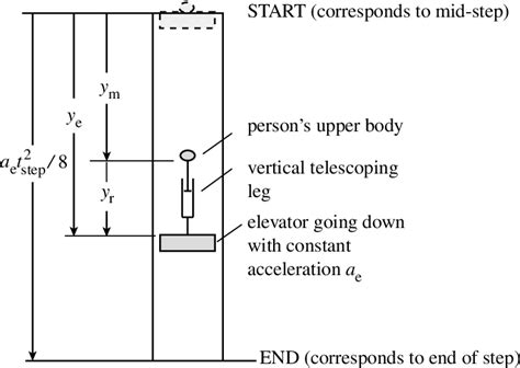 Problem C Riding An Accelerating Elevator Both The Point Mass And The