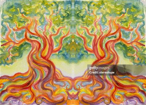 Tree Symmetry High Res Vector Graphic Getty Images