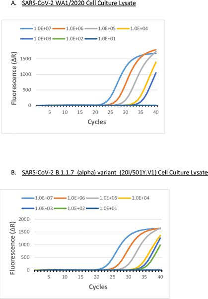 rna amplification plos one