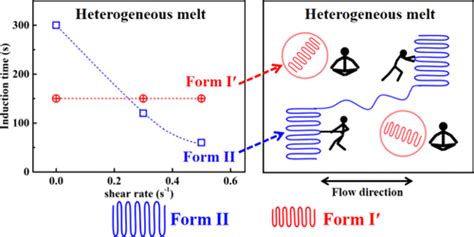 Flow Induced Crystallization Coupled With Strong Memory Effect Revealing Melt Heterogeneity