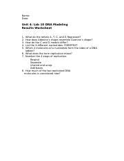 DNA Modeling Lab Worksheet 1 Doc Name Date Unit 4 Lab 10 DNA Modeling Results Worksheet 1