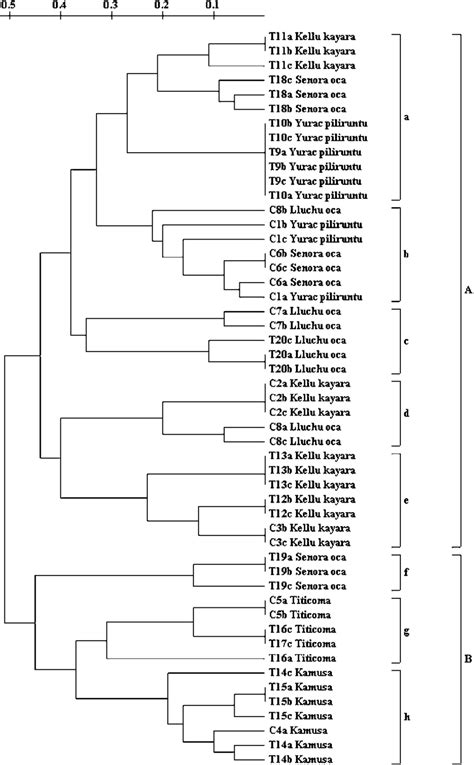 dendrogram based on issr polymorphism of the 51 oca s individuals