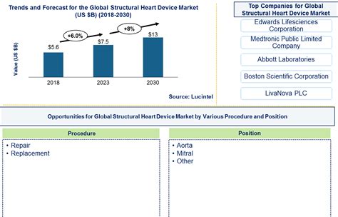 Structural Heart Device Market Size Share And Analysis To 2030