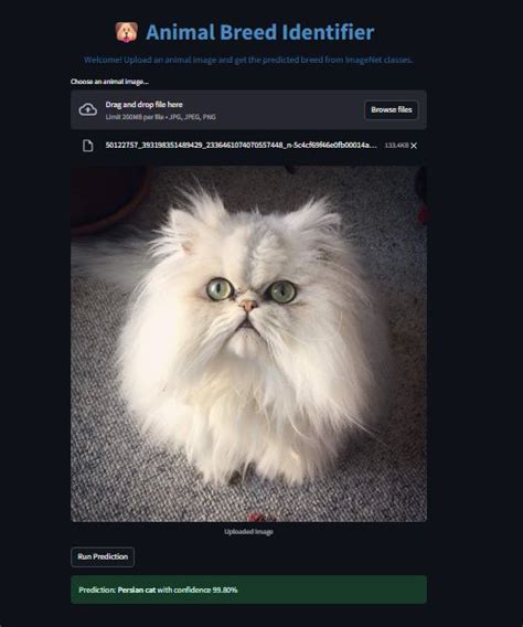 Deeplearning Pytorch Machinelearning Streamlit Webapp Ai Rahim
