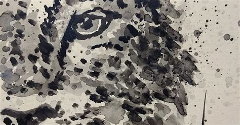 Leopard Album On Imgur Leopard Album On Imgur