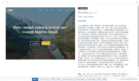2022年最佳wordpress企业主题 csdn博客
