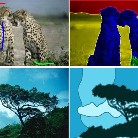 Results Of The Proposed Supervised Top And Unsupservised Bottom