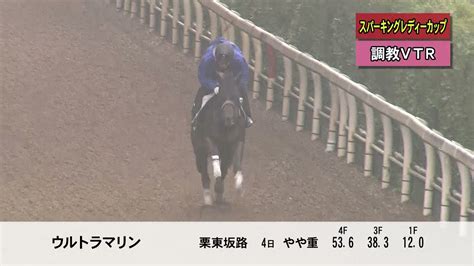 第25回スパーキングレディーカップ2021調教vtr Youtube